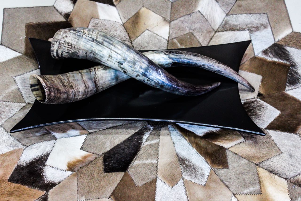 Black, White Resin Horns - Tarch Interiors
